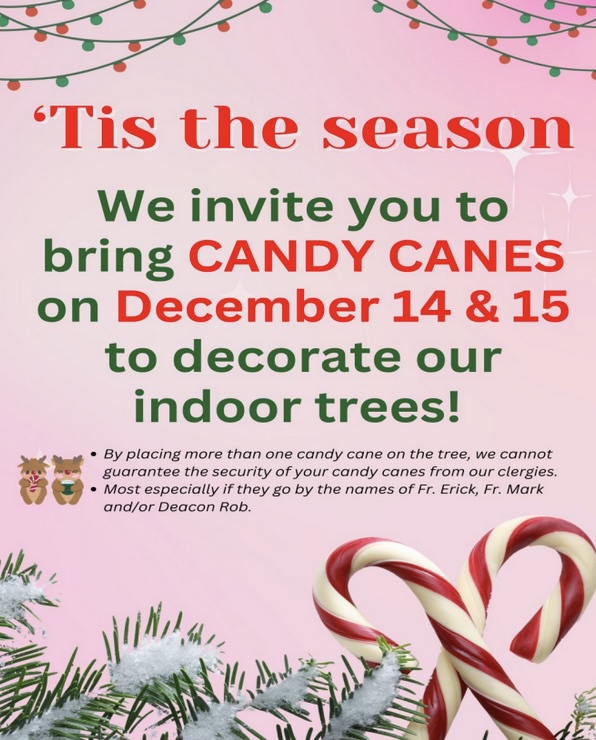 St. Raymond Catholic Church in Dublin – ‘Tis the Season! We invite you ...